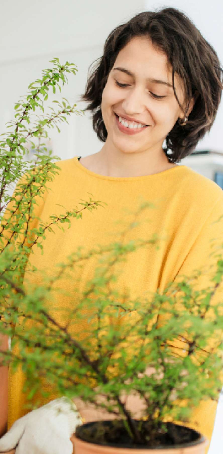 ARFID Treatment Program for Adults | Alsana